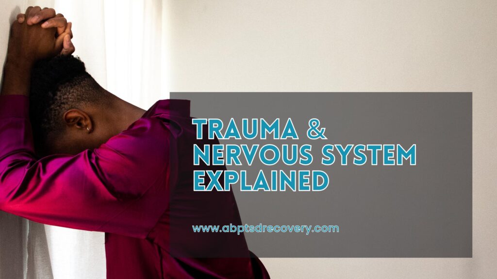 Trauma and the Nervous System Explained - The Integrated Trauma & PTSD ...